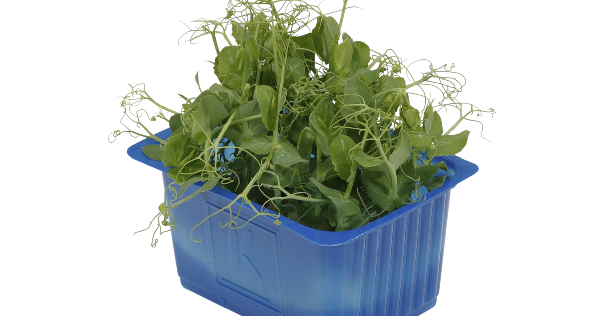 Affilla Cress - Alles für den Gast