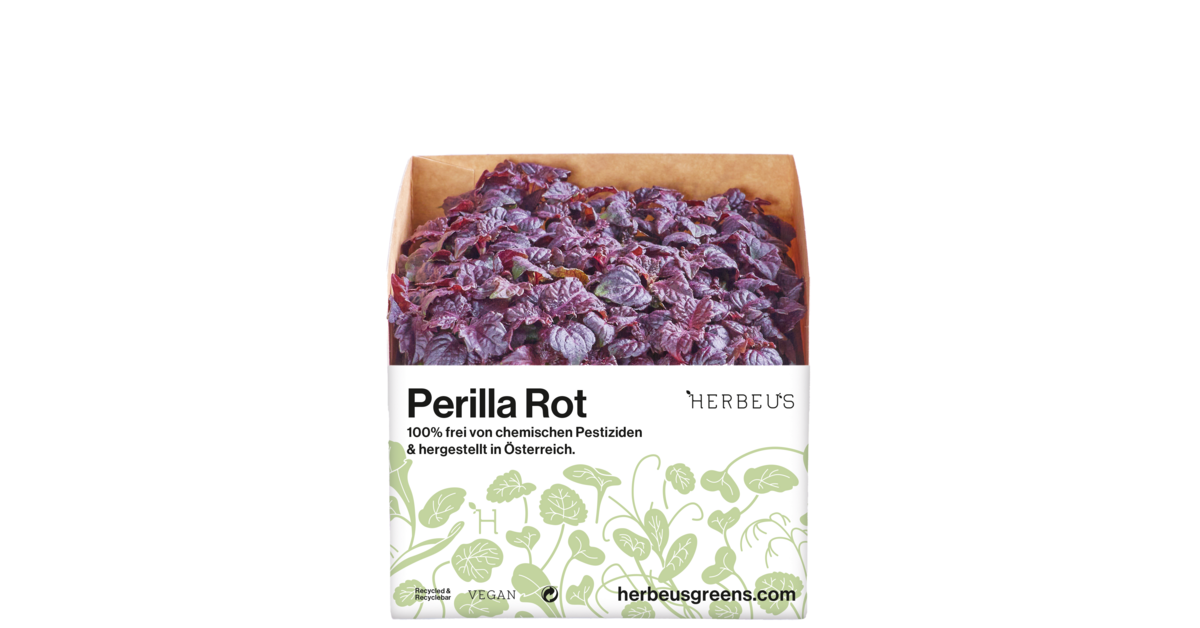 Herbeus Micro Greens Perilla Red - Alles für den Gast
